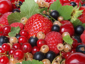 Ensemble pour notre agriculture et notre alimentation - MiiMOSA