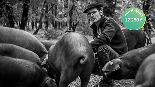 Elevage plein air Bio de Porc Noir Gascon