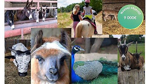 Sauvez la ferme de Bouriquette