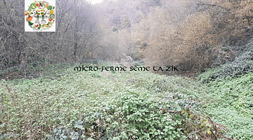 Micro-ferme Sème Ta Zik