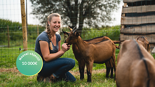 Un abri en bois pour mes chèvres laitières